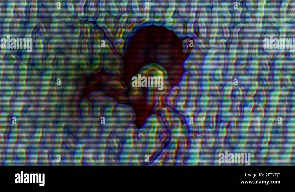 Ticks insect close up Stock Videos & Footage - HD and 4K Video Clips ...