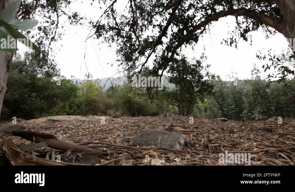 Falling debris person Stock Videos & Footage - HD and 4K Video Clips ...