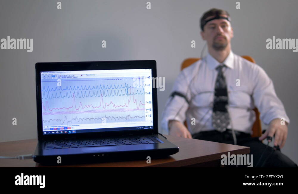 Mid shot of the lie detector diagram at the laptop's screen. 4K Stock ...