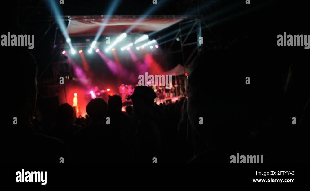 Dancing people rock concert Stock Videos & Footage - HD and 4K Video ...