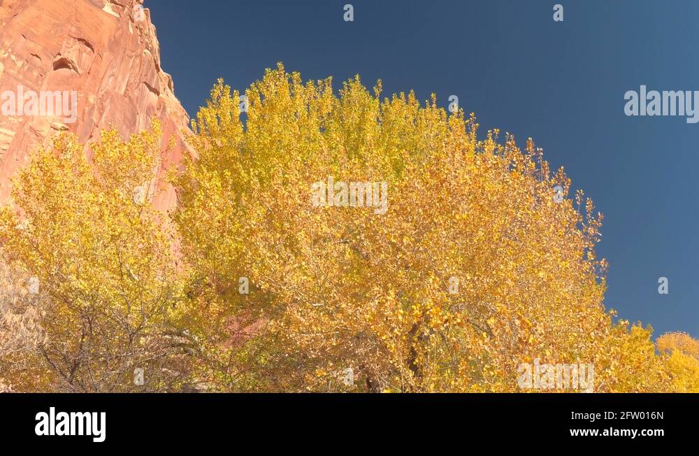 Red canopy or canopies Stock Videos & Footage - HD and 4K Video Clips ...