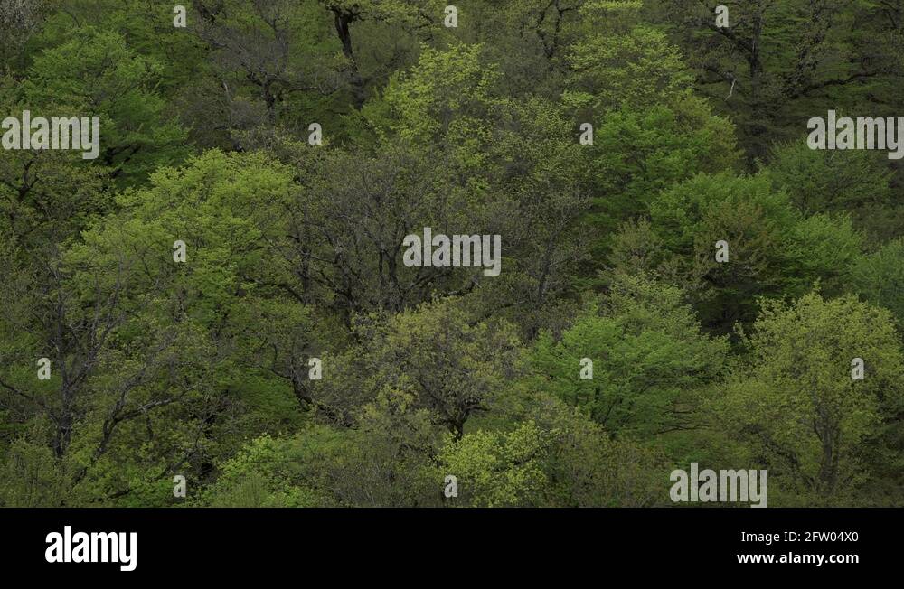 Air fores Stock Videos & Footage - HD and 4K Video Clips - Alamy