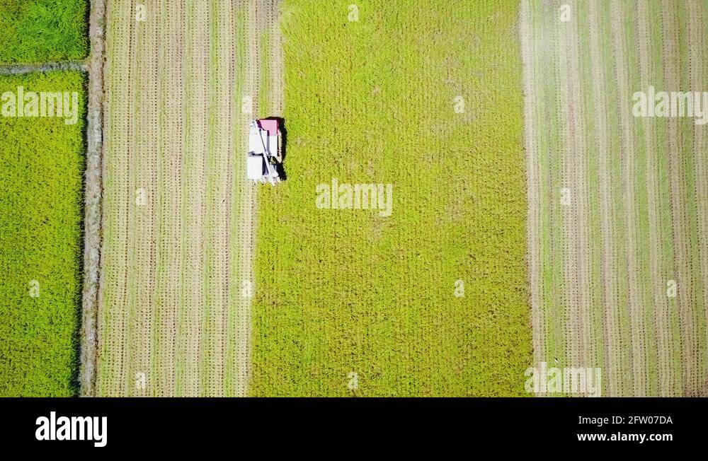 Top view combine harvester harvesting Stock Videos & Footage - HD and ...