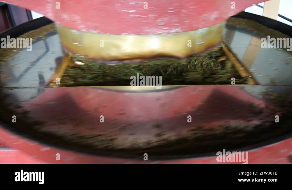 Tea roller Stock Videos & Footage - HD and 4K Video Clips - Alamy