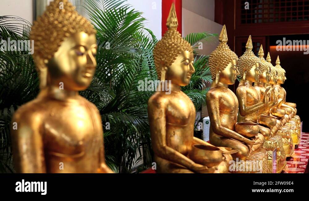 Asia focus Stock Videos & Footage - HD and 4K Video Clips - Alamy