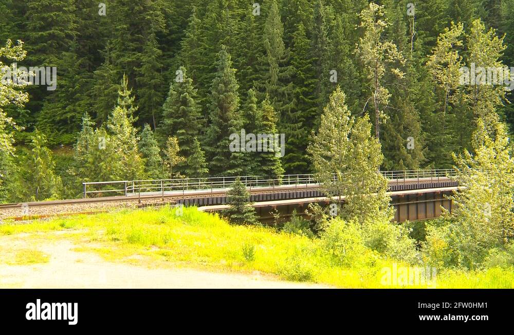 railroad, freight train, sea container loaded cars over bridge Stock ...