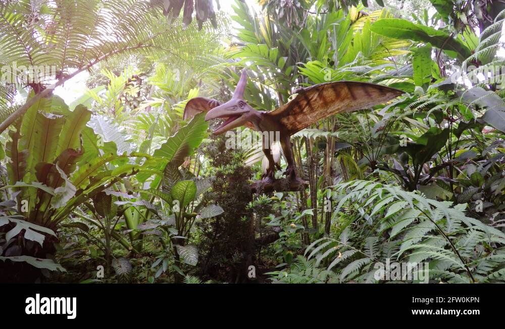 Pterosaur wings Stock Videos & Footage - HD and 4K Video Clips - Alamy
