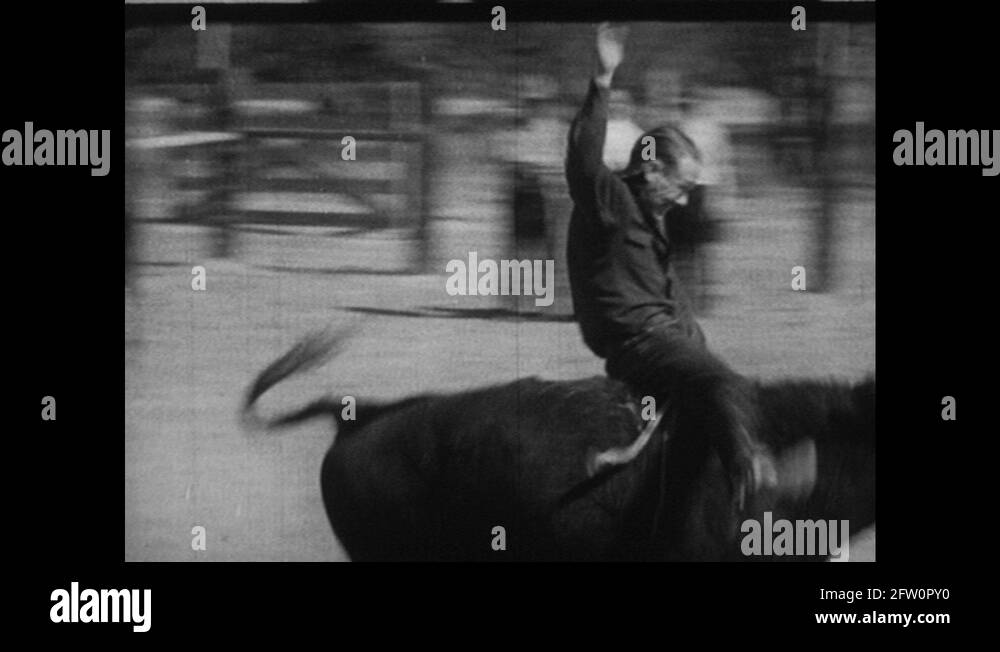 Man riding bull Stock Videos & Footage - HD and 4K Video Clips - Alamy