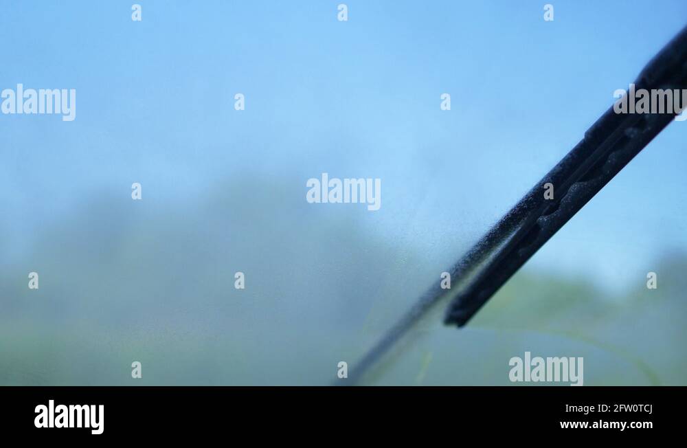 Car detergents Stock Videos & Footage - HD and 4K Video Clips - Alamy