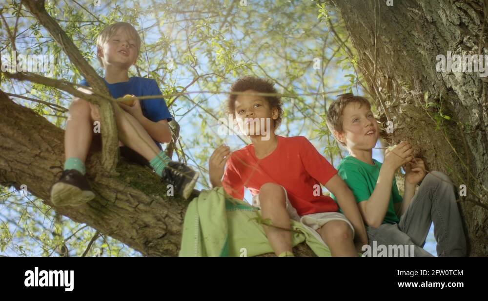 Boys apple tree Stock Videos & Footage - HD and 4K Video Clips - Alamy