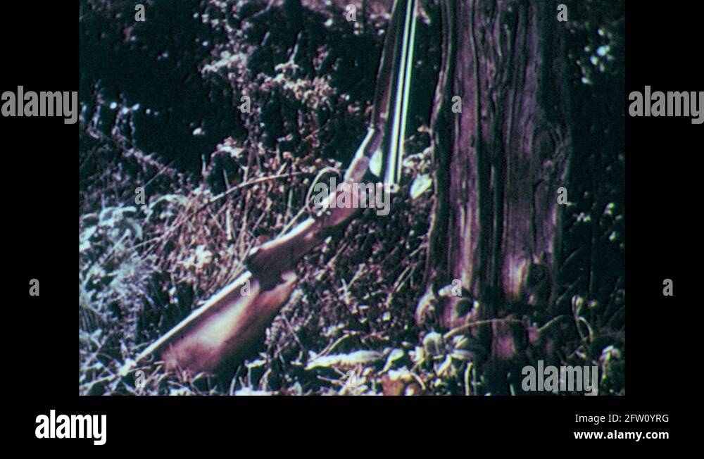 1950s: Rifle next to tree. Man climbs under fence with gun. Man climbs ...