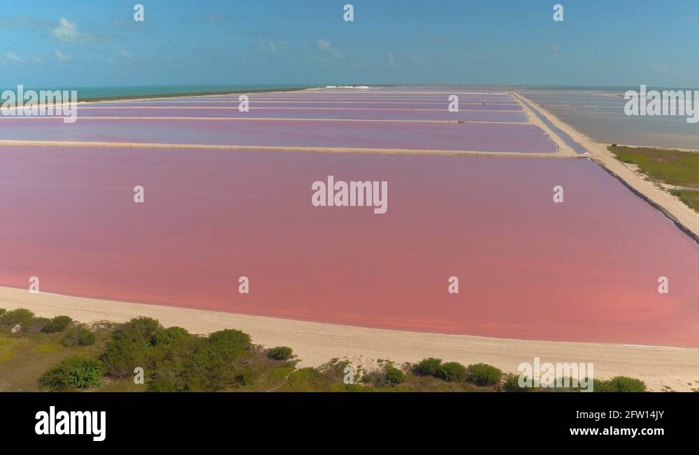 Gulf coastal plain mexico Stock Videos & Footage - HD and 4K Video ...