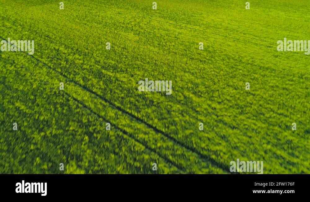 Agricultural texture Stock Videos & Footage - HD and 4K Video Clips - Alamy