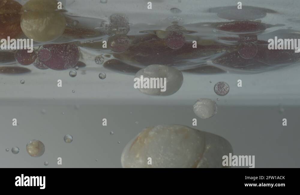 Shampoo blob clear Stock Videos & Footage - HD and 4K Video Clips - Alamy