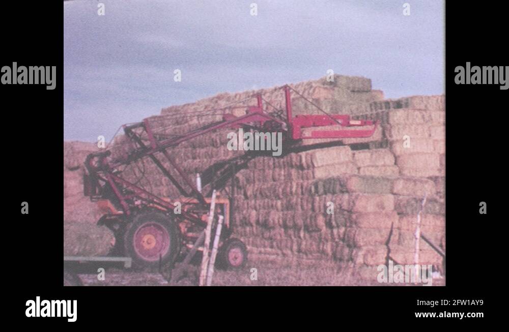 1960s: Bale fork and tractor lift bales off pyramid stack to flatbed ...