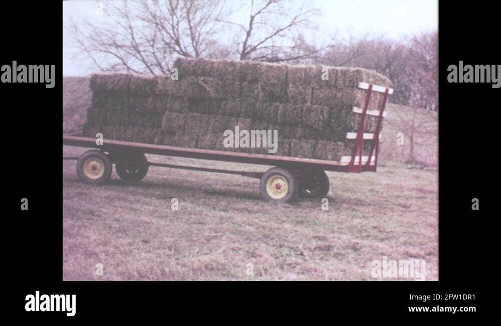 1960s: Tractor pulls wagon flatbed stacked with hay bales. Farmhand ...