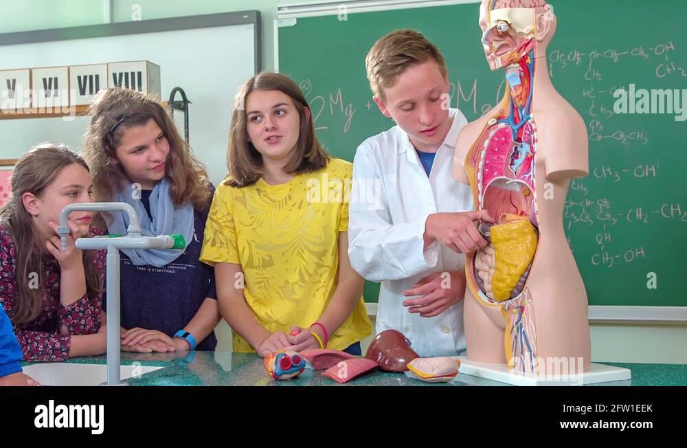 Taking out the large intestine from a human body Stock Video Footage ...
