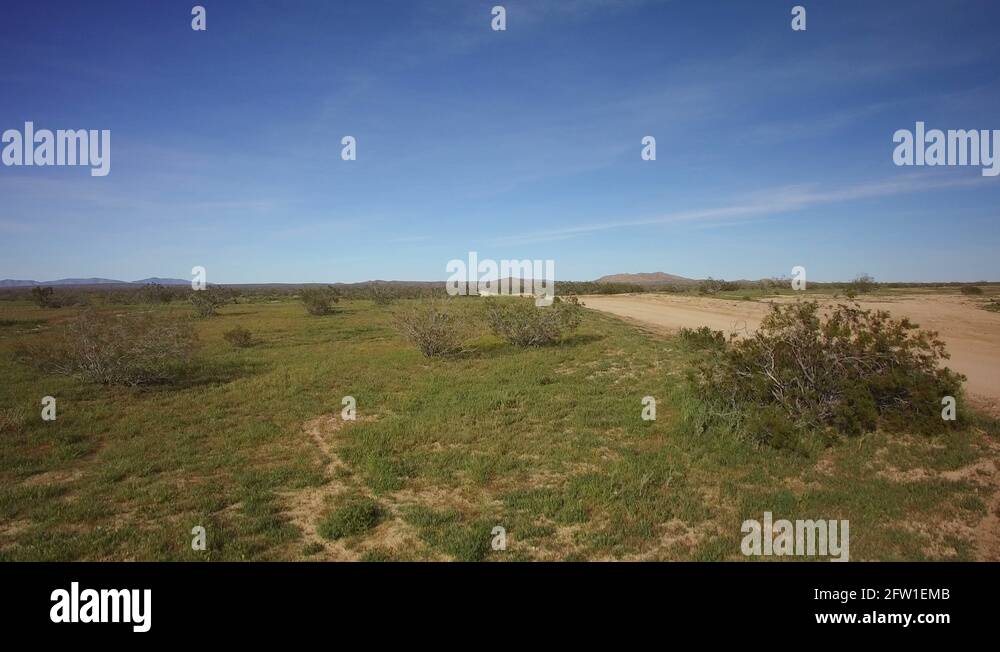 East african savanna Stock Videos & Footage - HD and 4K Video Clips - Alamy