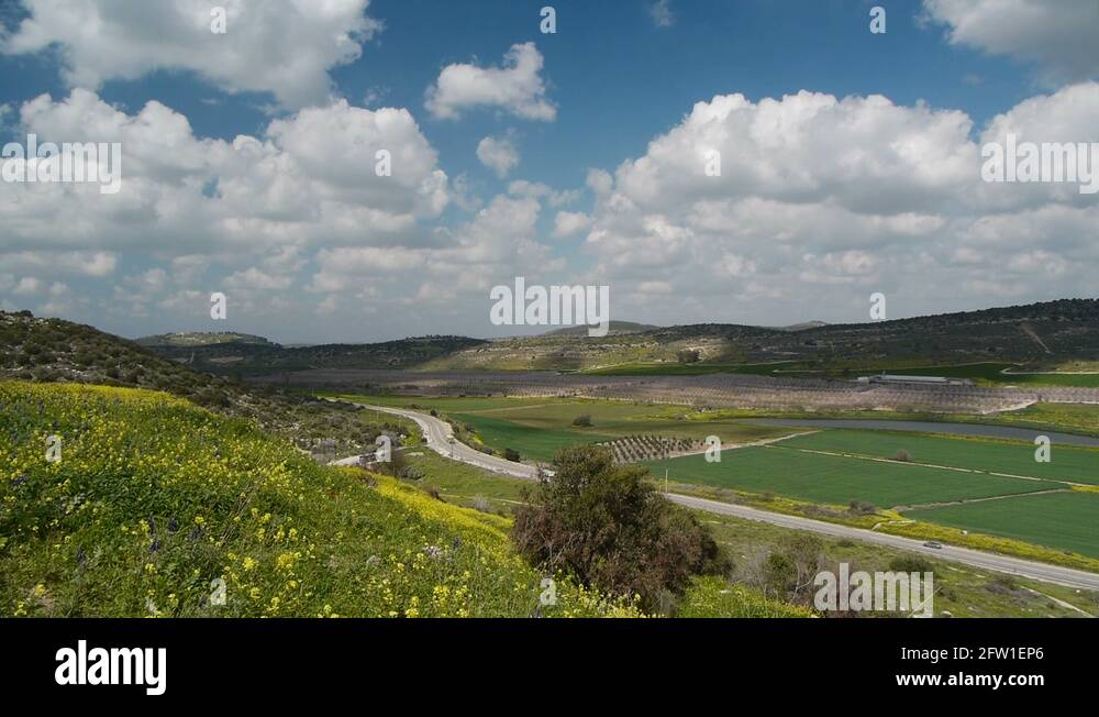 Ella valley Stock Videos & Footage - HD and 4K Video Clips - Alamy