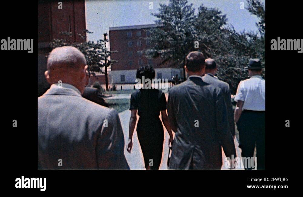 Law of segregation Stock Videos & Footage - HD and 4K Video Clips - Alamy