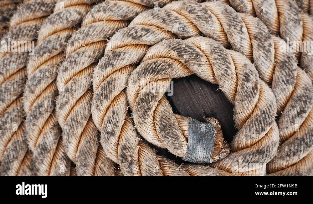 Rolled into a circle Stock Videos & Footage - HD and 4K Video Clips - Alamy