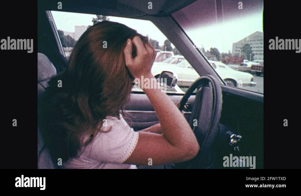 Horse head in car Stock Videos & Footage - HD and 4K Video Clips - Alamy