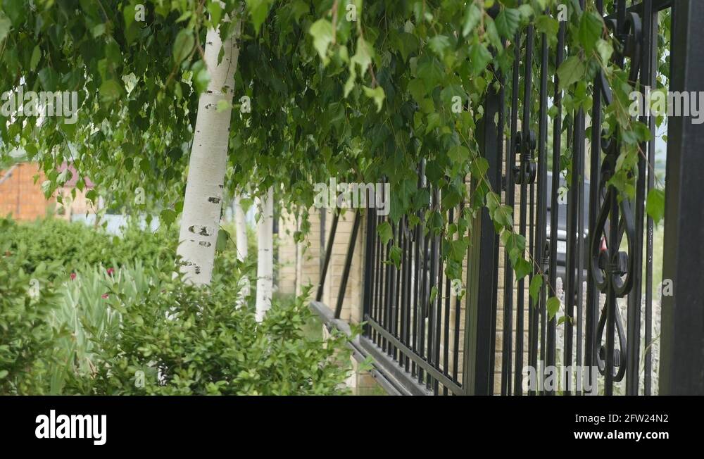 Open metal gates Stock Videos & Footage - HD and 4K Video Clips - Alamy