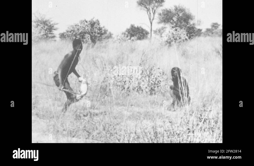 Two men carrying dead Stock Videos & Footage - HD and 4K Video Clips ...