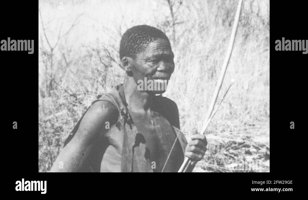 1960s: Bushman scans the horizon. Hand holds bow and arrow. Bushman ...
