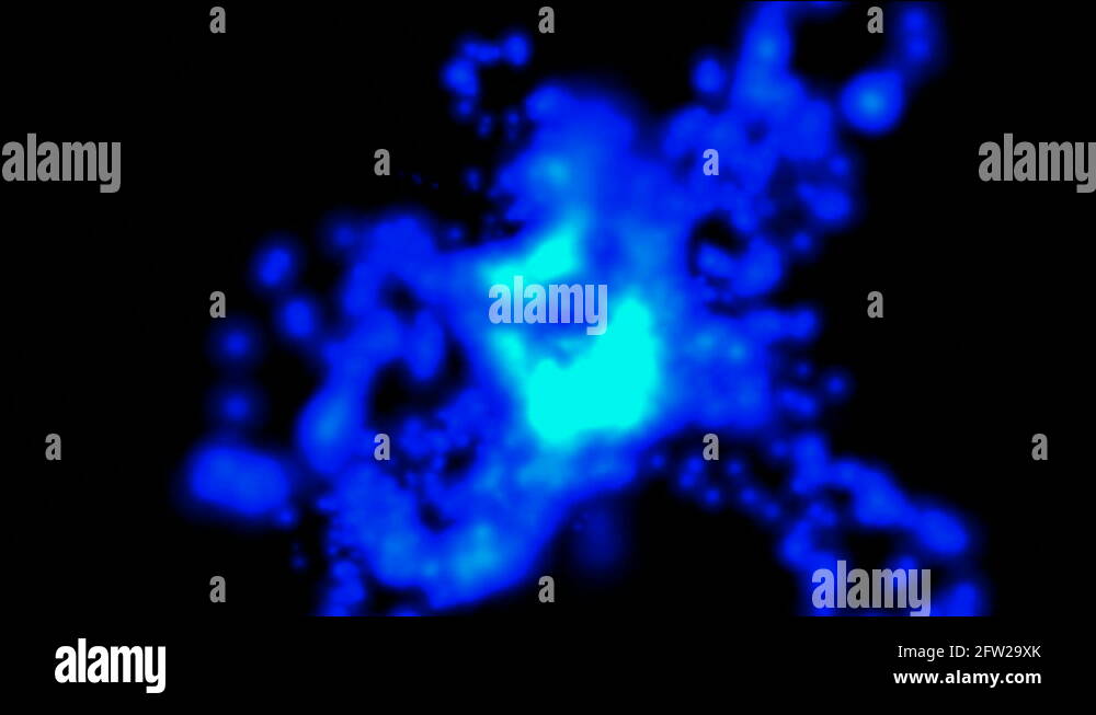 Antibody staining Stock Videos & Footage - HD and 4K Video Clips - Alamy