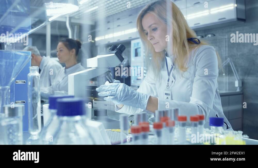 Female Research Scientist Looks at Biological Samples Under Microscope ...