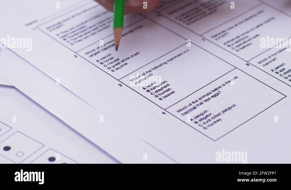 Multiple choice pen Stock Videos & Footage - HD and 4K Video Clips - Alamy