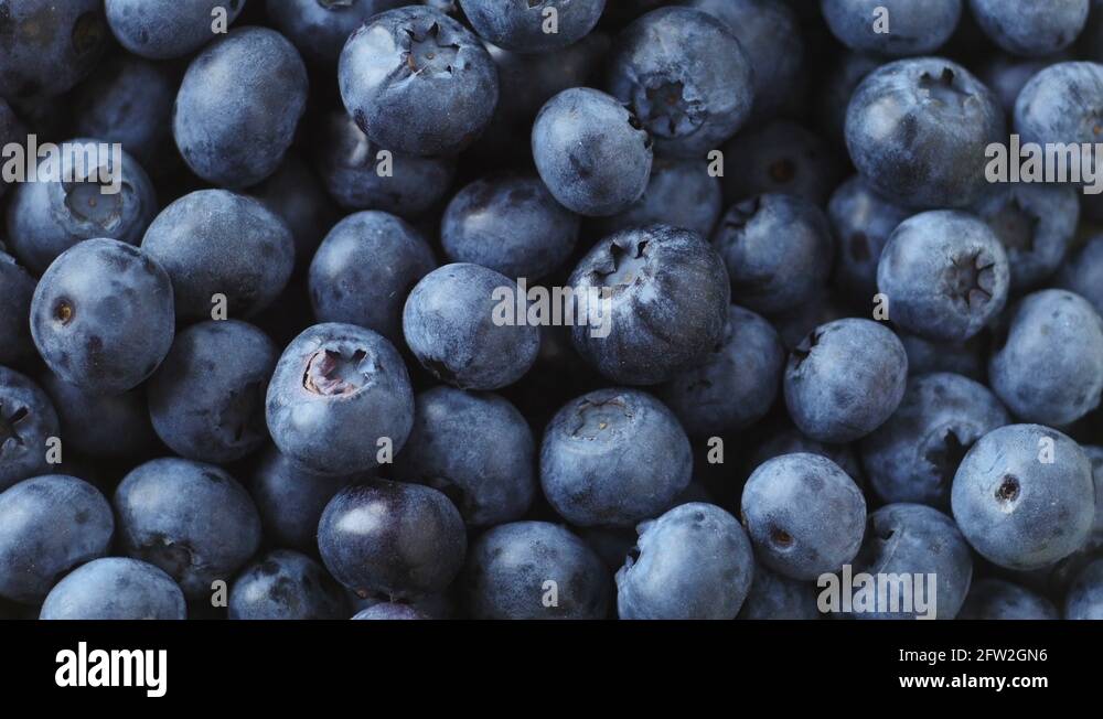 Pile of blueberries Stock Videos & Footage - HD and 4K Video Clips - Alamy