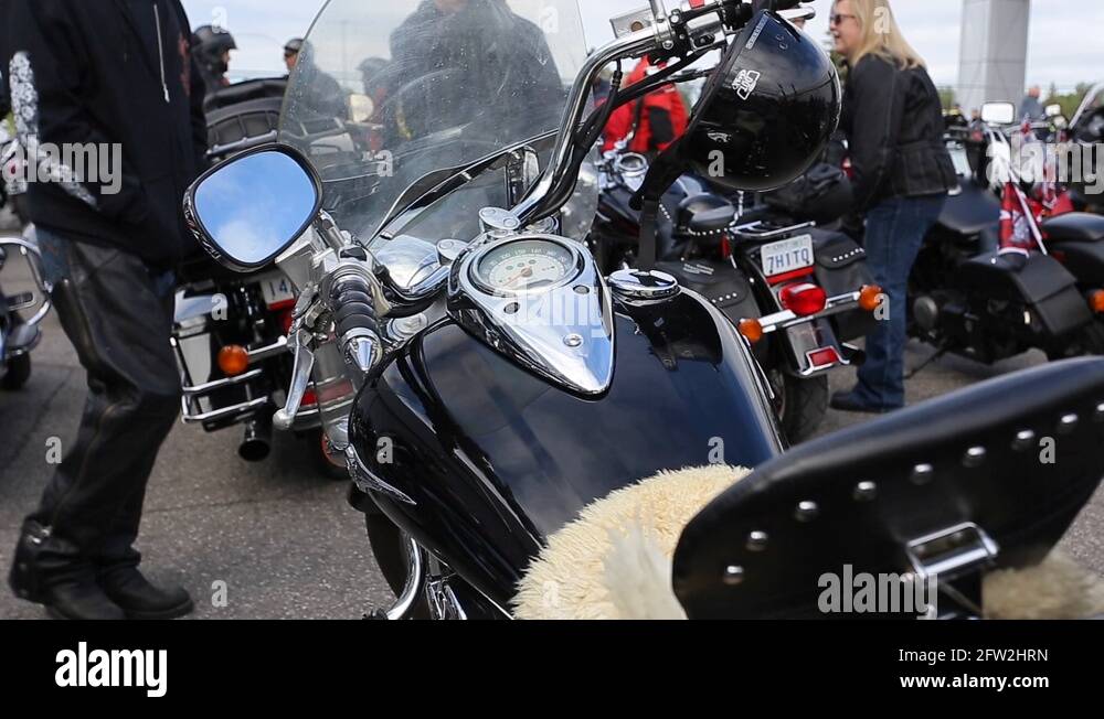 Harley davidson hog Stock Videos & Footage - HD and 4K Video Clips - Alamy