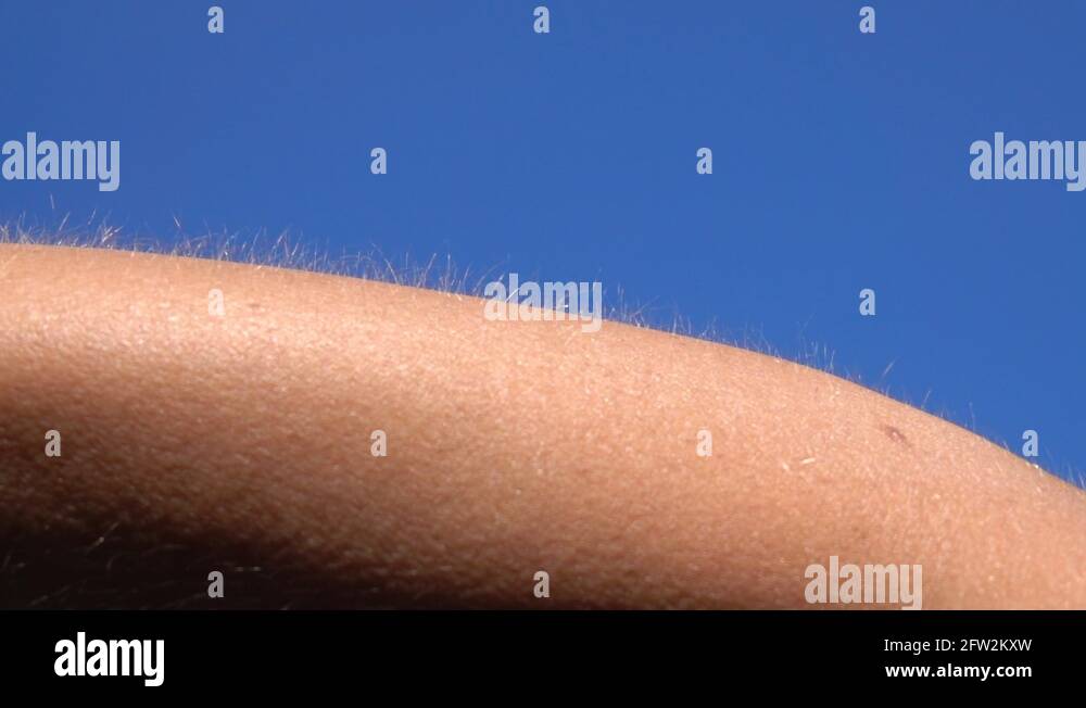 Goose flesh texture Stock Videos & Footage - HD and 4K Video Clips - Alamy