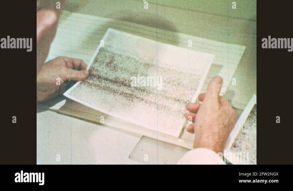 Squid cells Stock Videos & Footage - HD and 4K Video Clips - Alamy