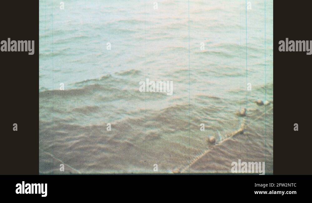 1970s: Water. Net in water. Men lean against railing of boat. Fishing ...