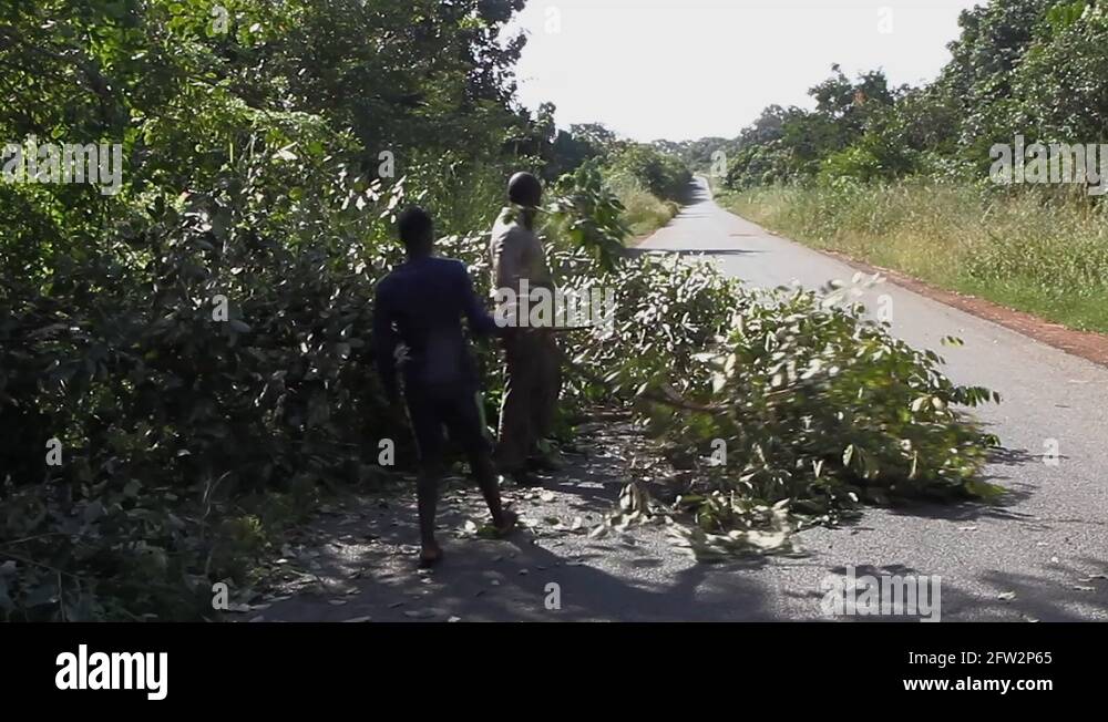 Starving men Stock Videos & Footage - HD and 4K Video Clips - Alamy