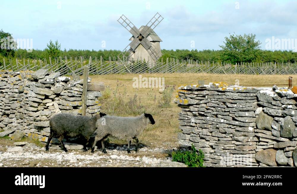 Faro gotland Stock Videos & Footage - HD and 4K Video Clips - Alamy