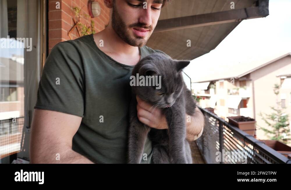 Man holding cat Stock Videos & Footage - HD and 4K Video Clips - Alamy