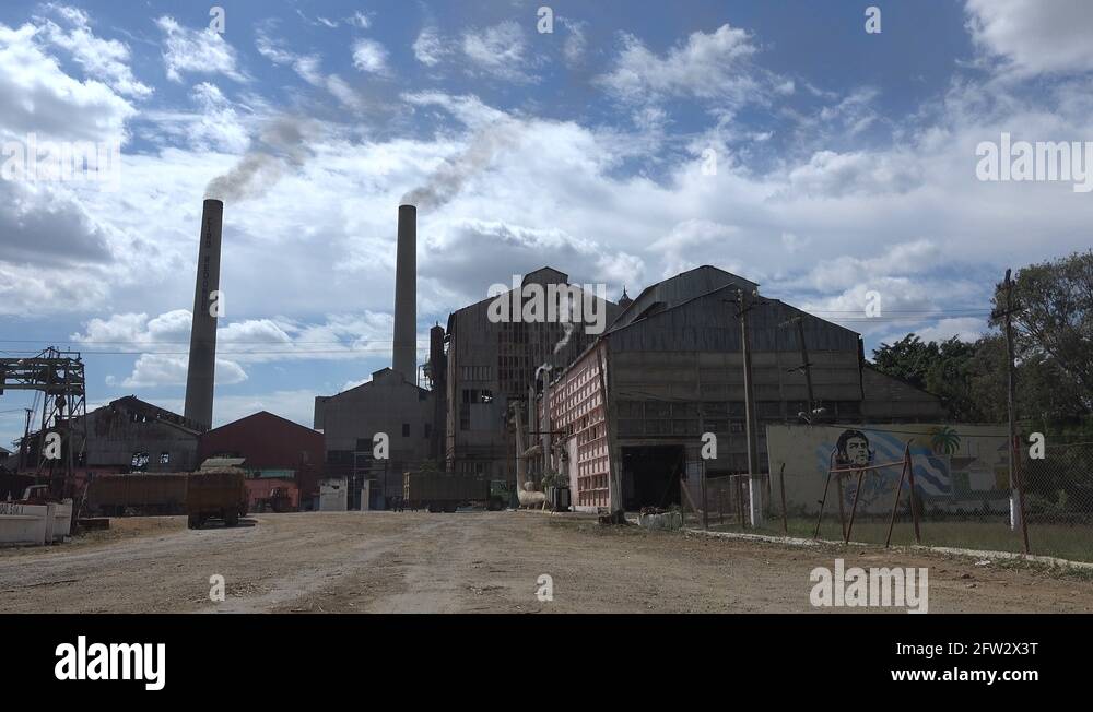 Cuban sugar plantation Stock Videos & Footage - HD and 4K Video Clips ...