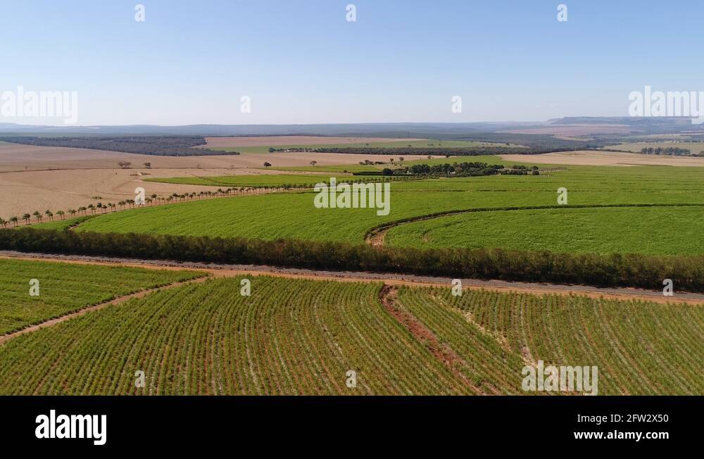 Paraguay australia Stock Videos & Footage - HD and 4K Video Clips - Alamy