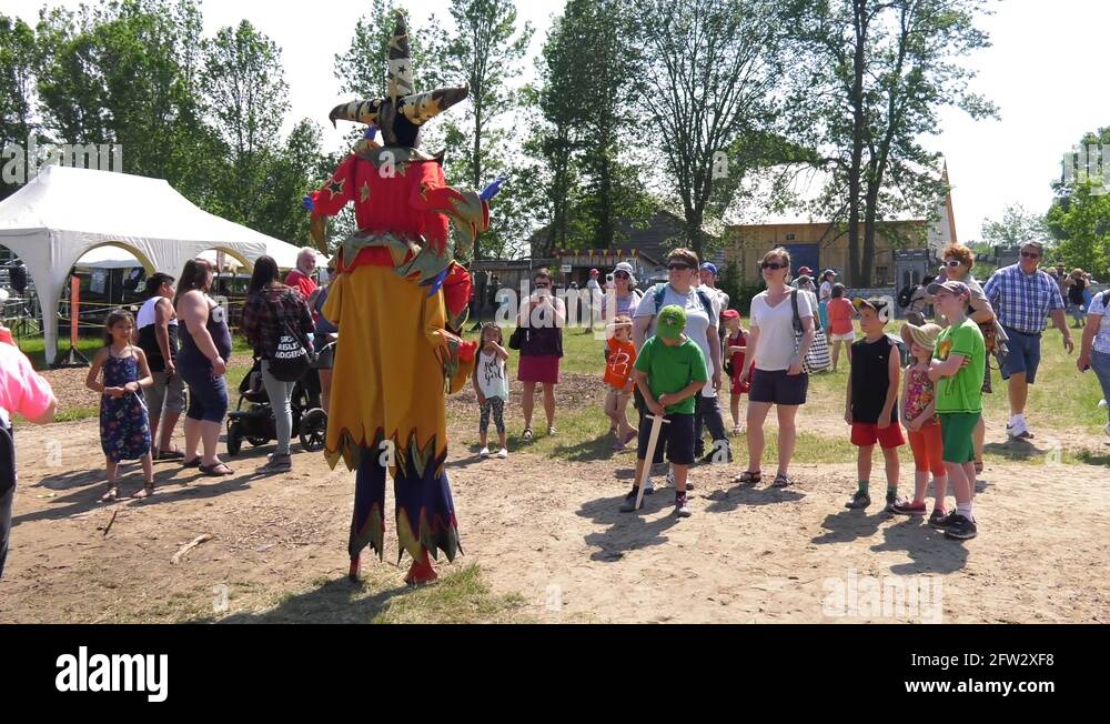 Jester puppet Stock Videos & Footage - HD and 4K Video Clips - Alamy