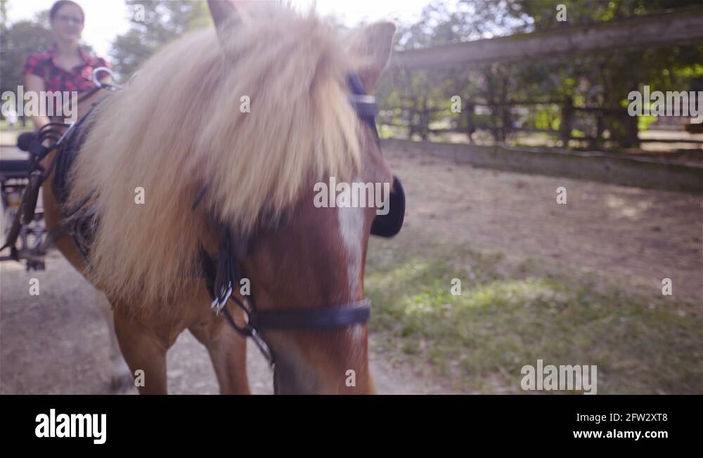 Hairy ride Stock Videos & Footage - HD and 4K Video Clips - Alamy