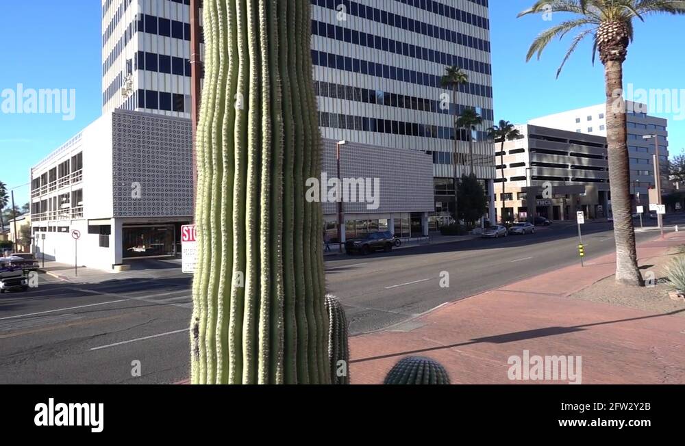 Cactus building architecture Stock Videos & Footage - HD and 4K Video ...