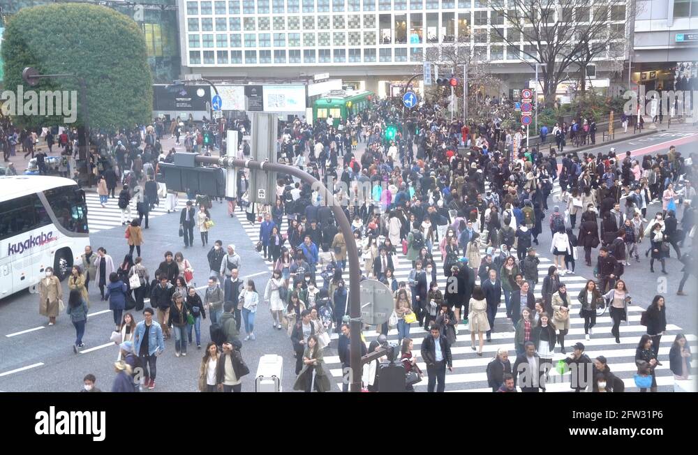 Shibuya Crossing, Tokyo, the busiest road intersection in the world ...