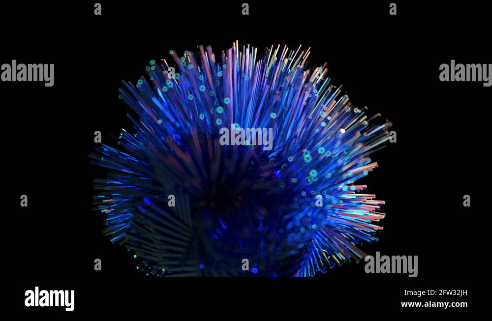 Lattice shell structure Stock Videos & Footage - HD and 4K Video Clips ...