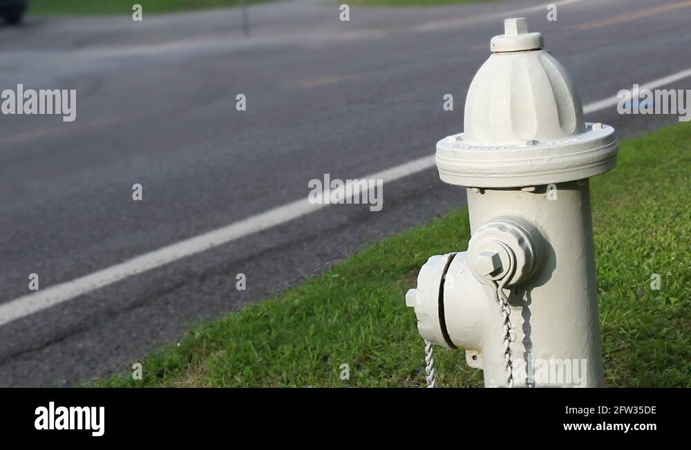 White fire hydrant Stock Videos & Footage - HD and 4K Video Clips - Alamy