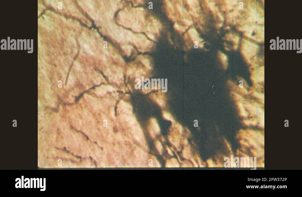 Brain cell microscope Stock Videos & Footage - HD and 4K Video Clips ...