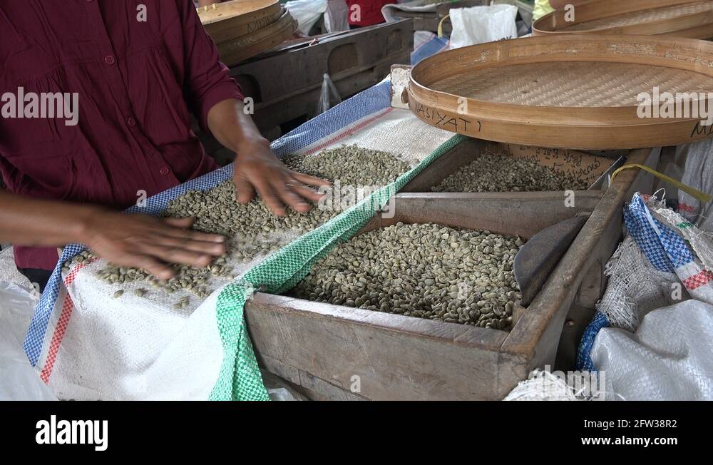 Asia sorting beans Stock Videos & Footage - HD and 4K Video Clips - Alamy